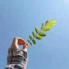 lily_ouyang - 雪球