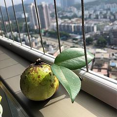 雪球-聪明的投资者都在这里